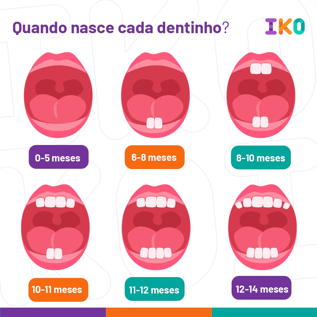 Quando Nasce Cada Dentinho IKO Instituto Kids De Odontologia Quando Nasce Cada Dentinho IKO Instituto Kids De Odontologia
